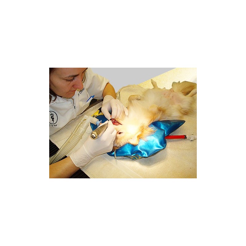 Hug U Vac Head Positioner Shipps Dental And Specialty Products Hug U Vac Head Positioner Shipps Dental And Specialty Products